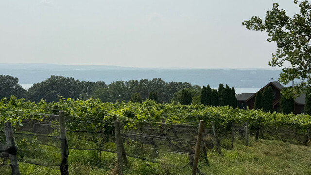 9 of the Best Pinot Noirs From New York’s Finger Lakes | VinePair