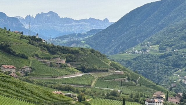 14 of the Best White Wines From Italy’s Alto Adige | VinePair