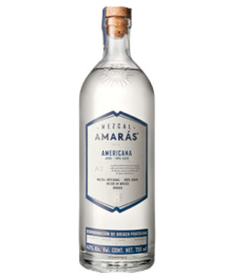 We Asked 15 Bartenders: What’s the Best Mezcal for Beginners? | VinePair