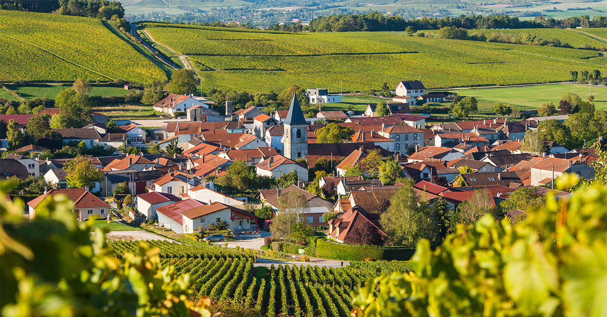 The Sommeliers’ Guide to Visiting Champagne | VinePair